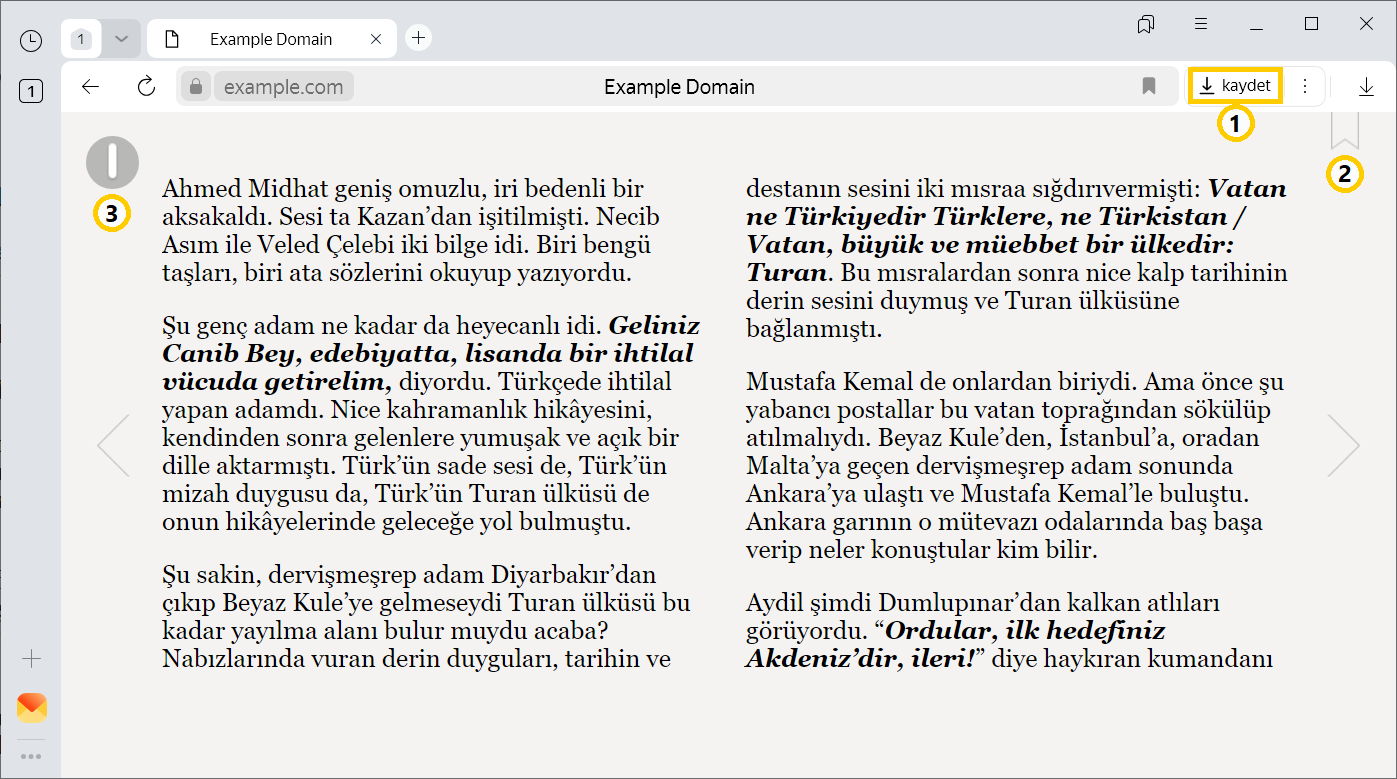 PDF, FB2, EPUB dosyalarını görüntüleme | Browser