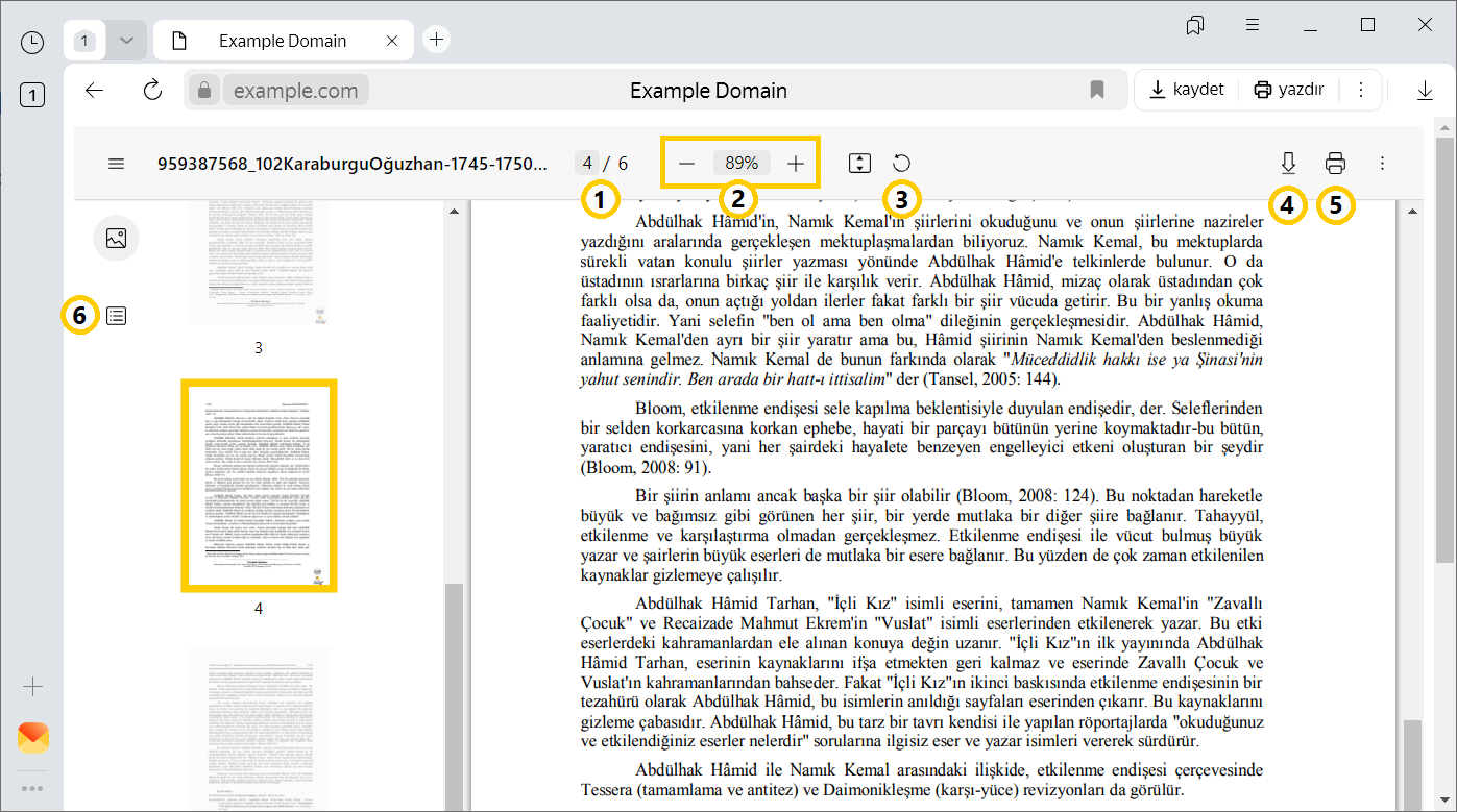 PDF, FB2, EPUB dosyalarını görüntüleme | Browser